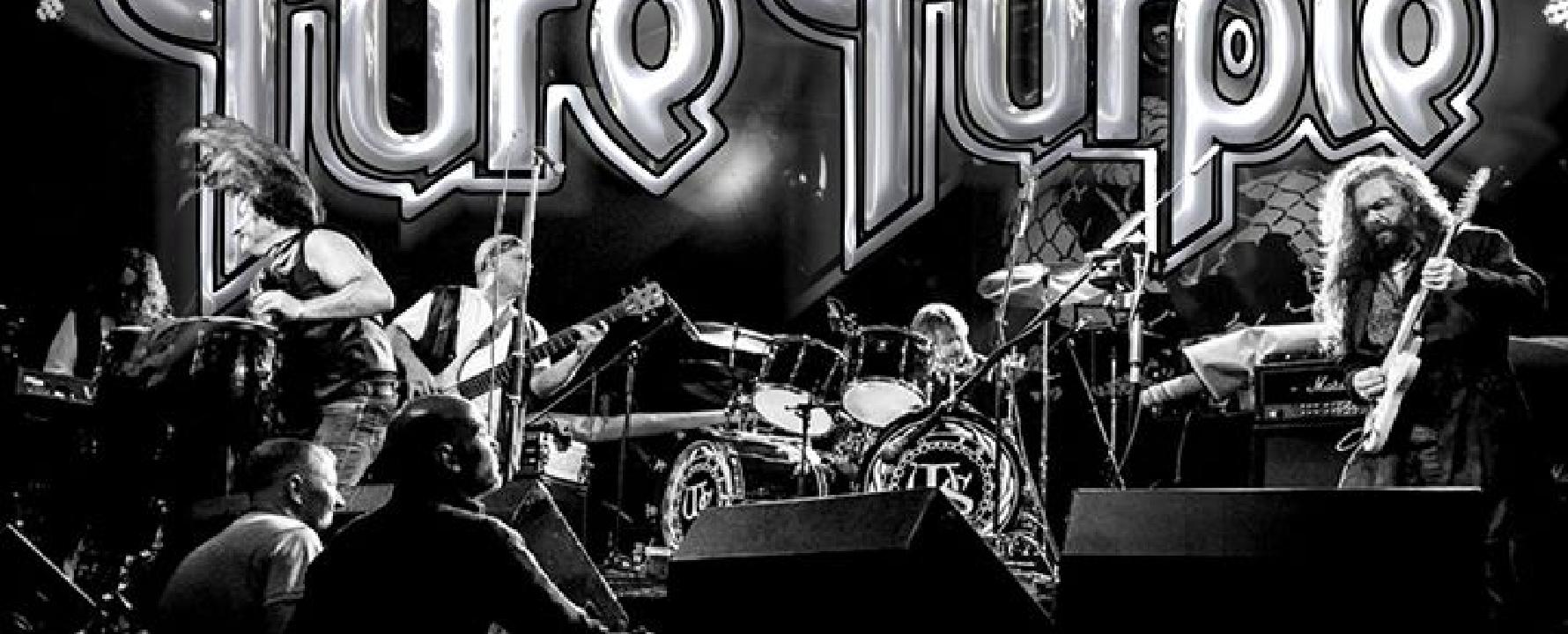 Pure Purple | Biglietti Concerti e Tour 2024 - Wegow