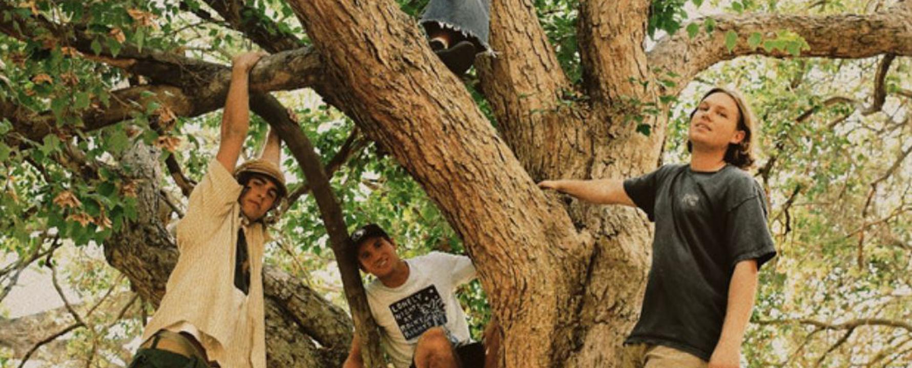 Entradas para The moss en Washington | Wegow