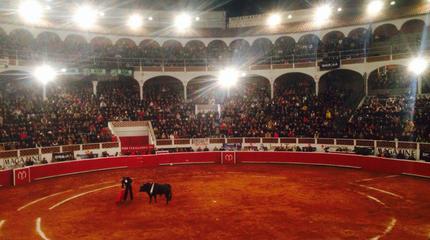 Tickets for Plaza de Toros Santa María (Querétaro) in Querétaro | Wegow