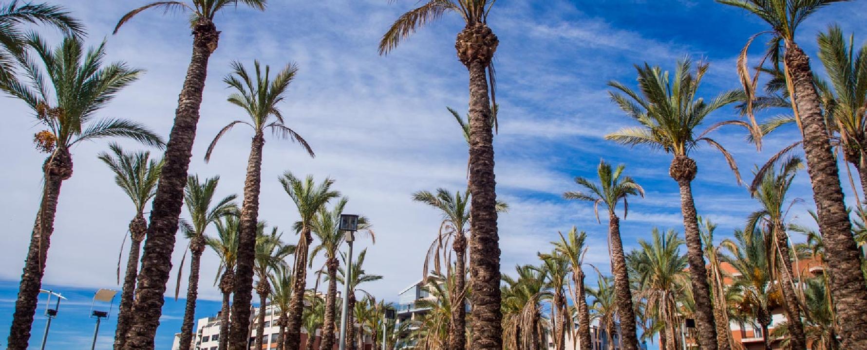 Entradas para Parque Rafalafena en Castellón de la Plana | Wegow